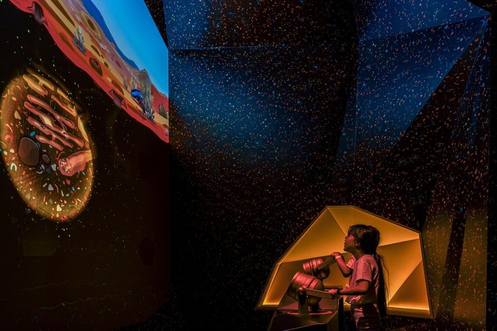 Moment Factory | creates and produces Curiosity Cove | blooloop