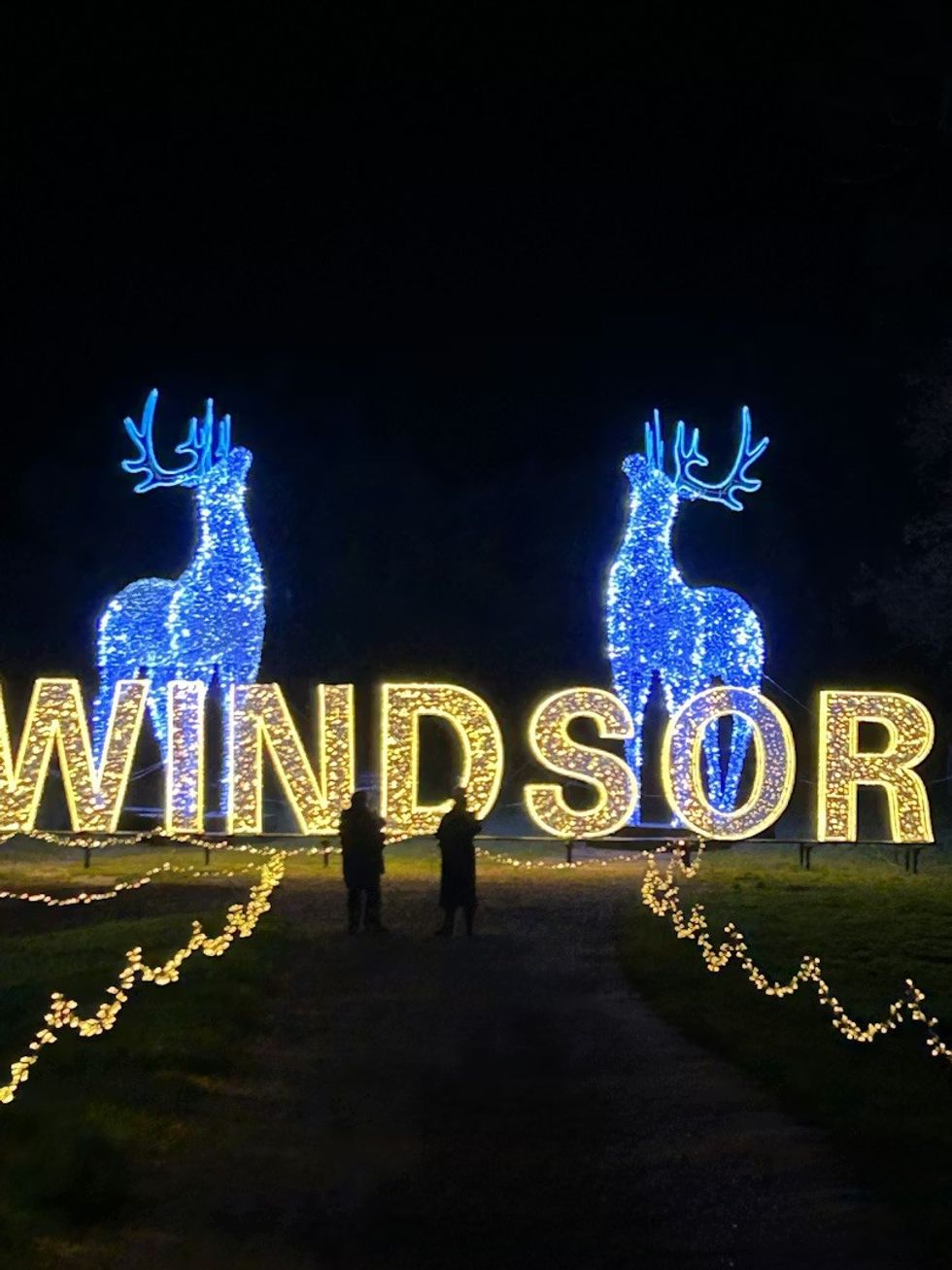 Windsor Great Park Illuminated 2024 | blooloop