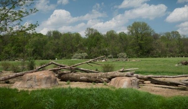 Five Zoo Innovations That Have Been Around for Decades: #3 Blooloop