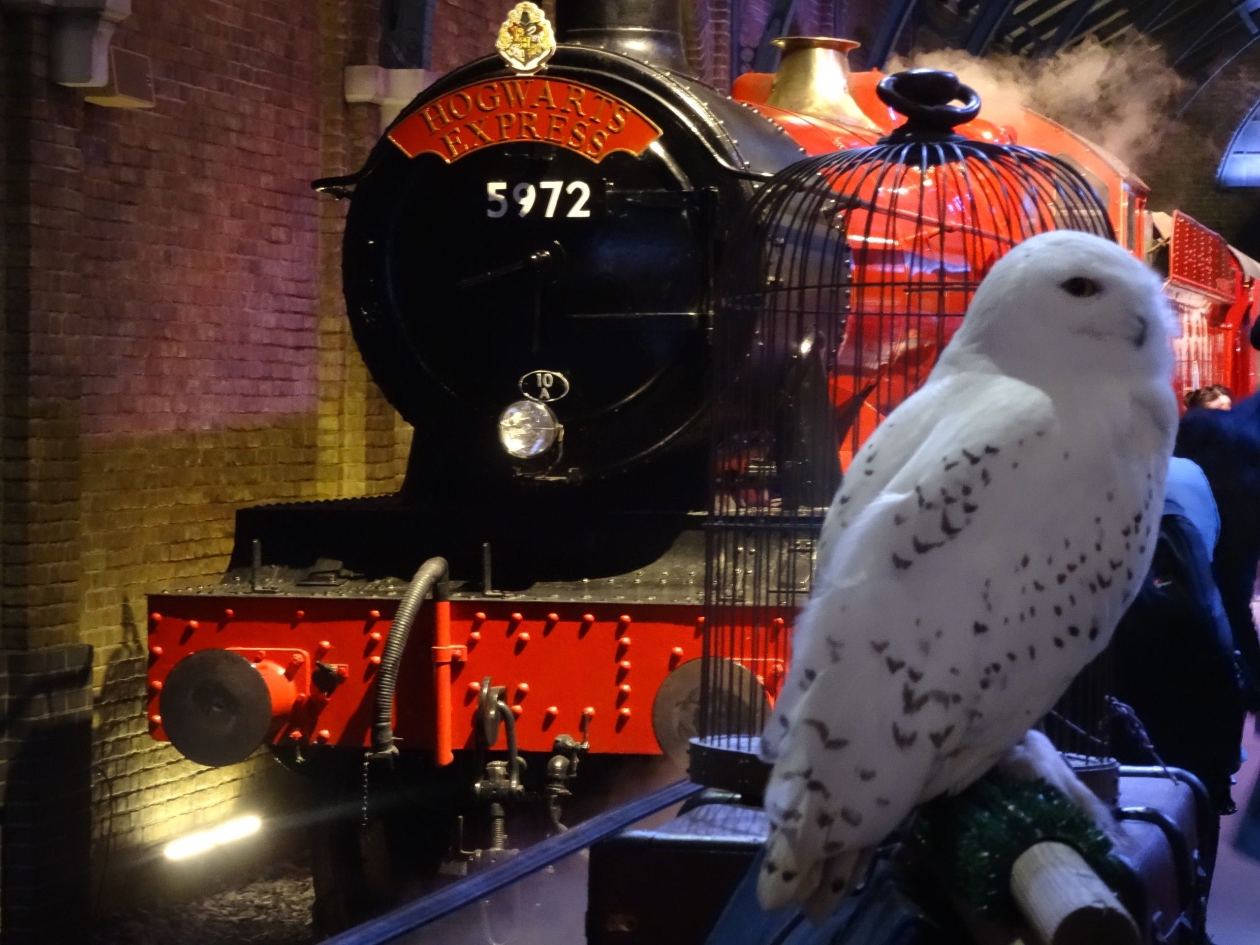 All Aboard the Hogwarts Express ' Photo Op on Platform 9 A? Blooloop