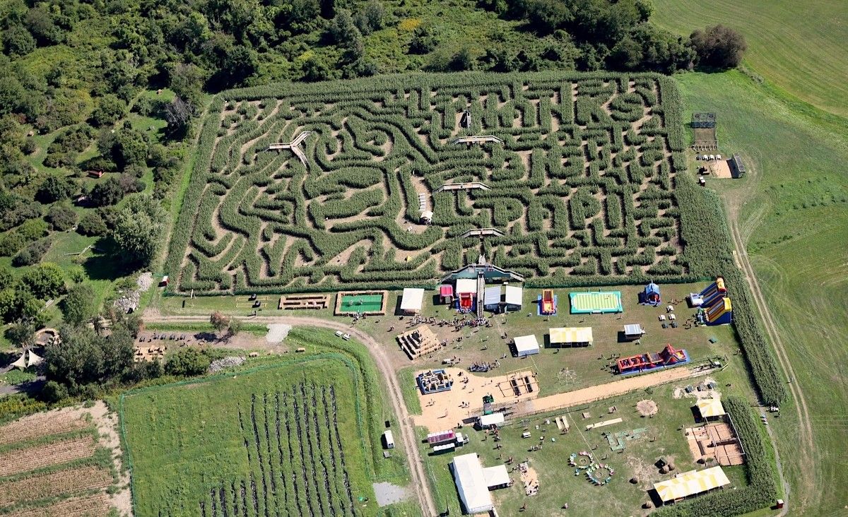 Adrian Fisher Creates A-Maze-ing Attractions in Cairo and Far East Blooloop