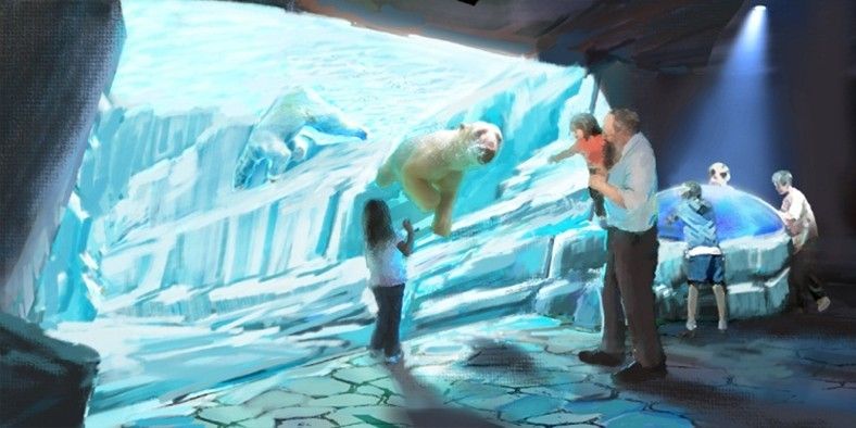 PGAV Destinations to Design New Polar Bear Habitat at Saint Louis Zoo ...