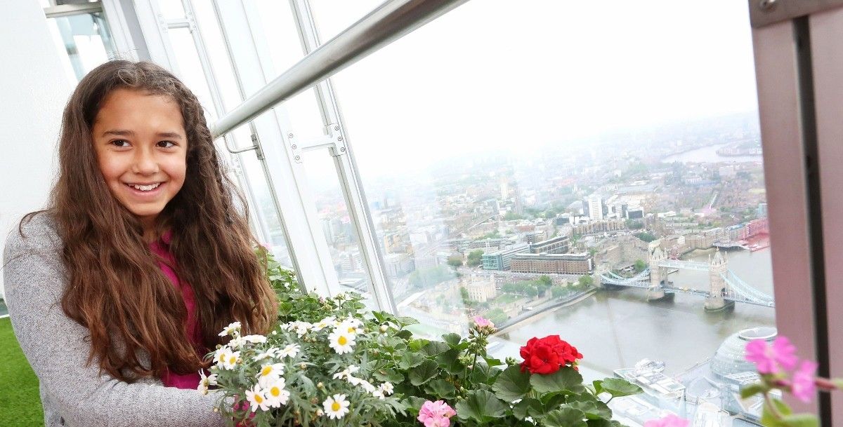 View From The Shard Unveils London's Highest Garden on the 72nd Floor ...