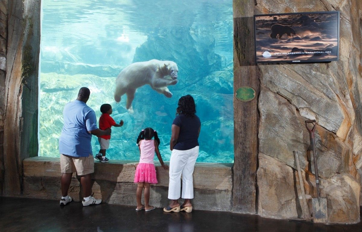PGAV Destinations' 'Glacier Run' Celebrates 5 Years at Louisville Zoo