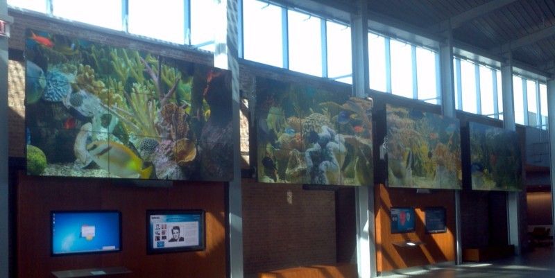 Alcorn McBride Digital Binloop HD Video Player Runs 105-Foot Videowall ...