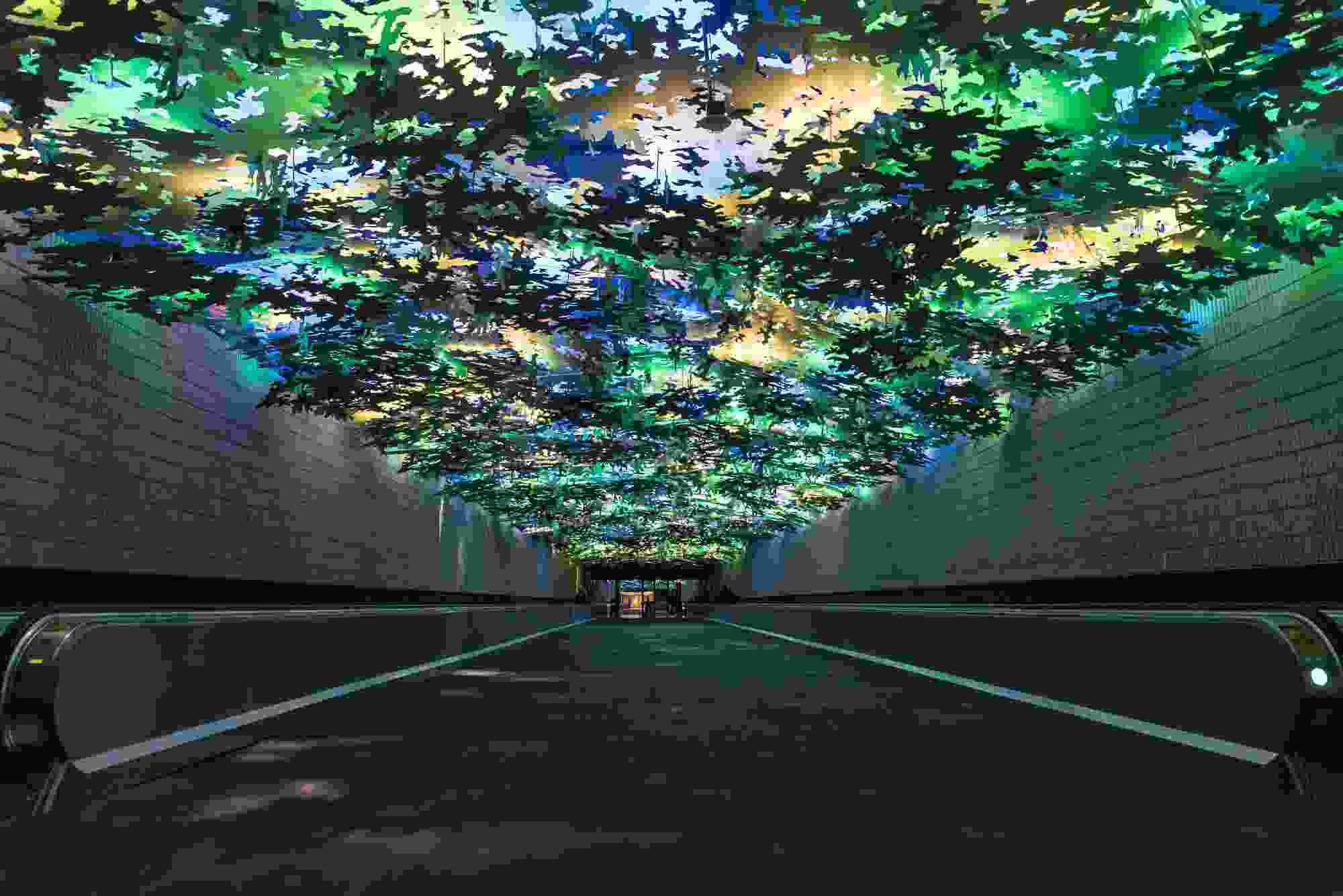 Steve Waldeck 'Flight Paths' Powered by Alcorn McBride
