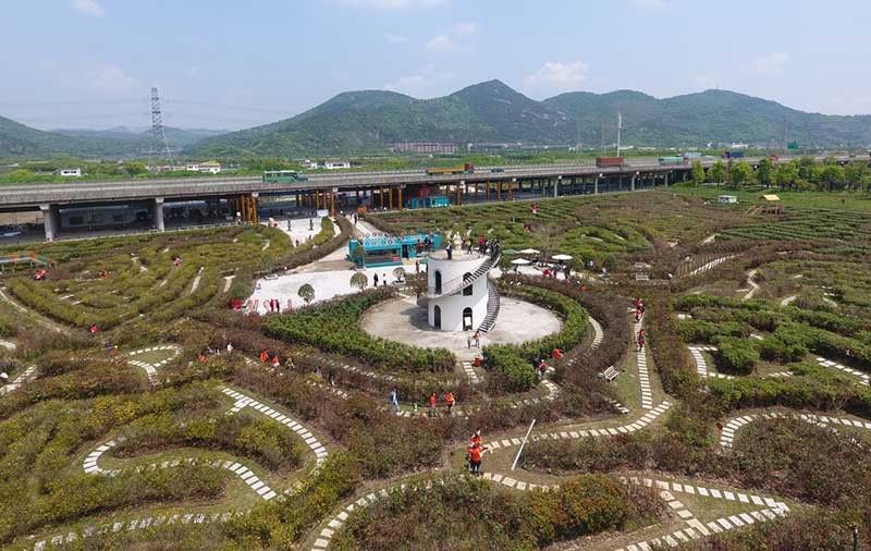 Maze maker Adrian Fisher creates world's largest hedge maze in Ningbo ...