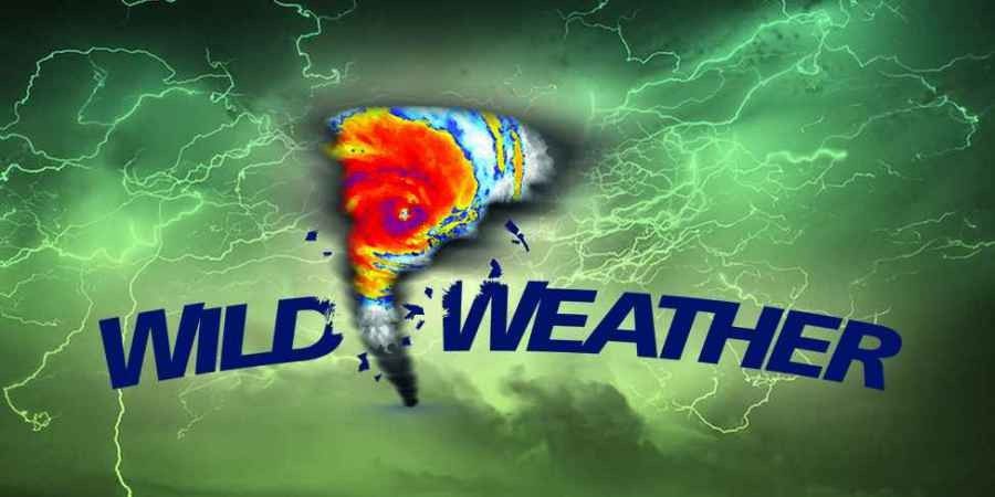 Wild Weather exhibit - Science North scoops CASCADE award | blooloop