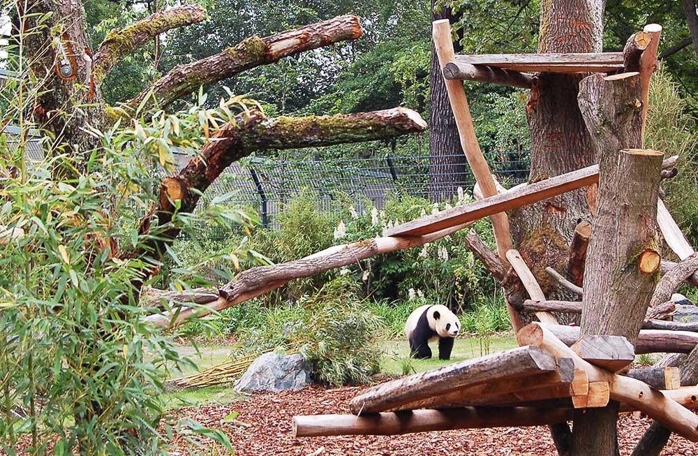 Panda Garden dan pearlman-designed exhibit opens Berlin Zoo | blooloop