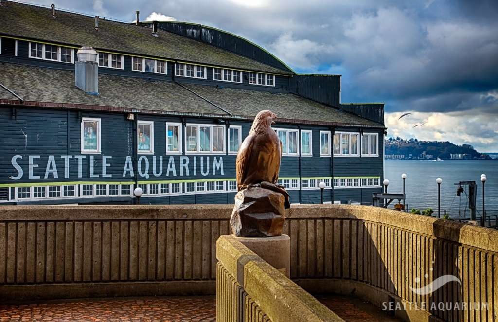 Ocean Pavilion at Seattle Aquarium to boast 350,000 gallon tank | blooloop
