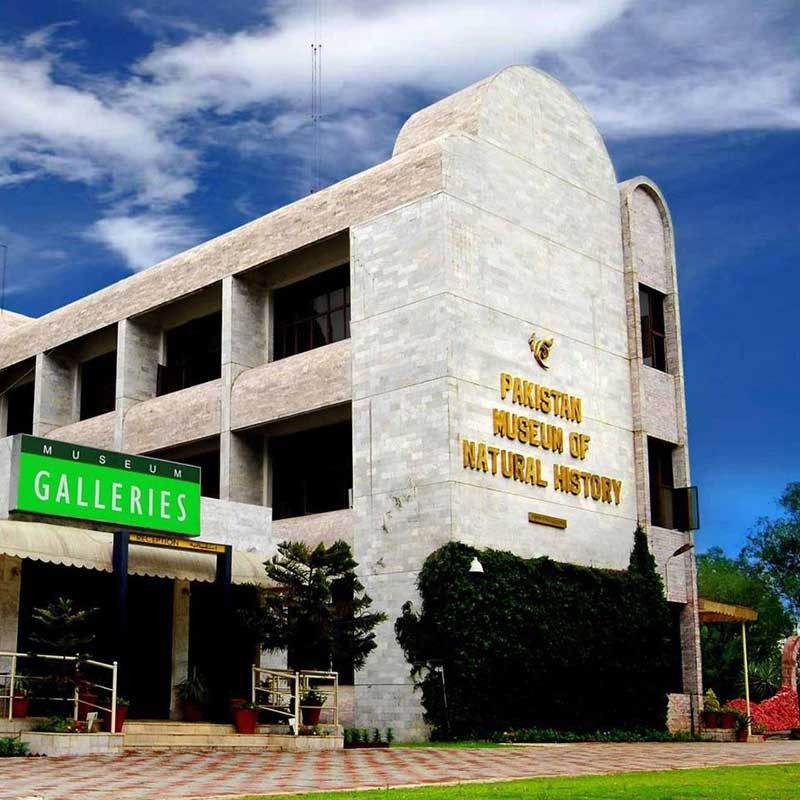 EOI: Pakistan Museum of Natural History seeks architect | blooloop