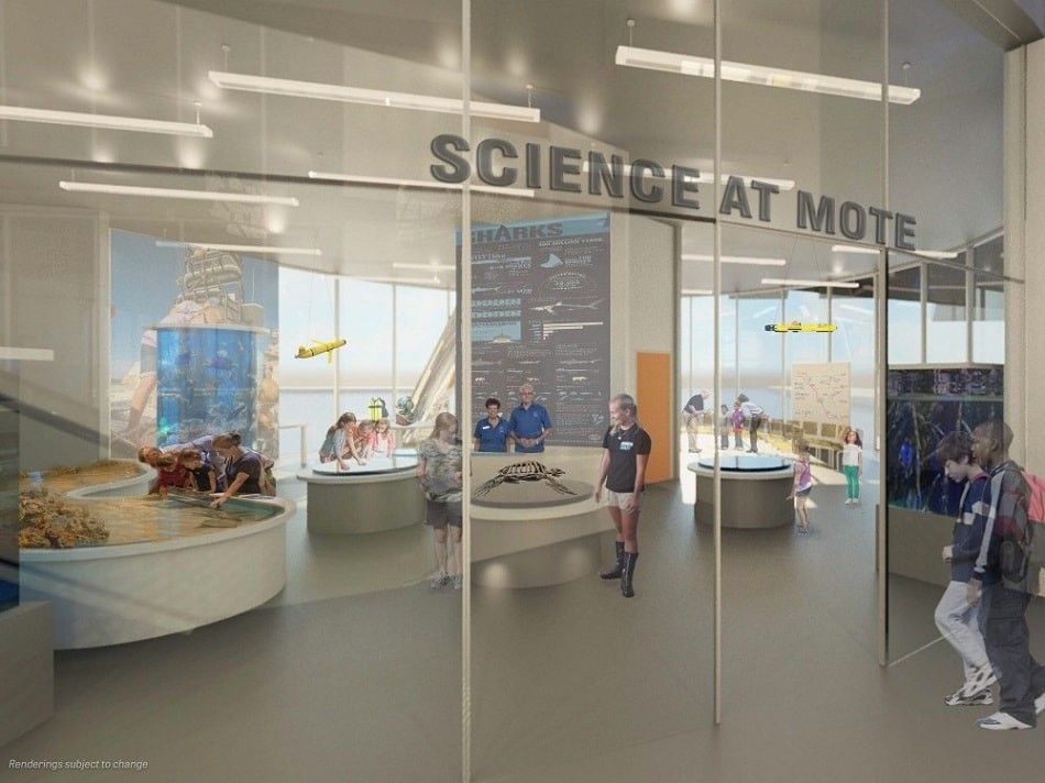 Mote Marine Lab to construct new aquarium in Florida | blooloop
