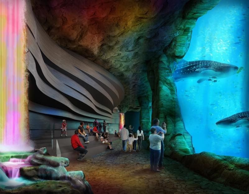 Taylor Jeffs on Legacy GGE & Shanghai Haichang Ocean Park | blooloop