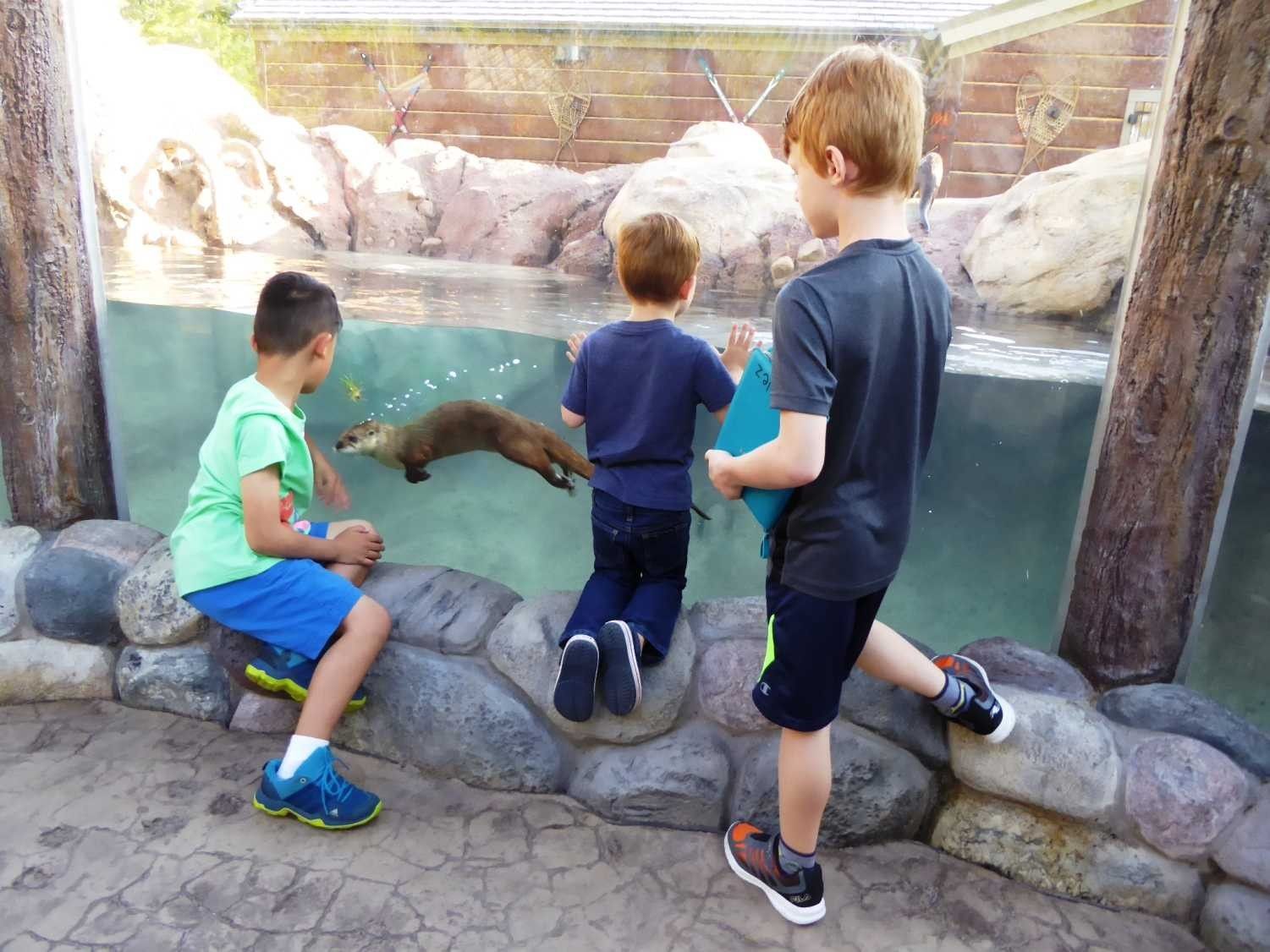 PGAV Destinations designs new river otter habitat Milwaukee County Zoo