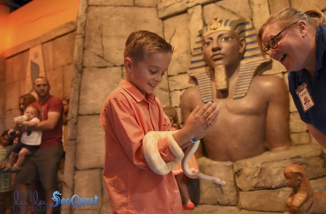 Seaquest Interactive Aquariums - education and community | blooloop