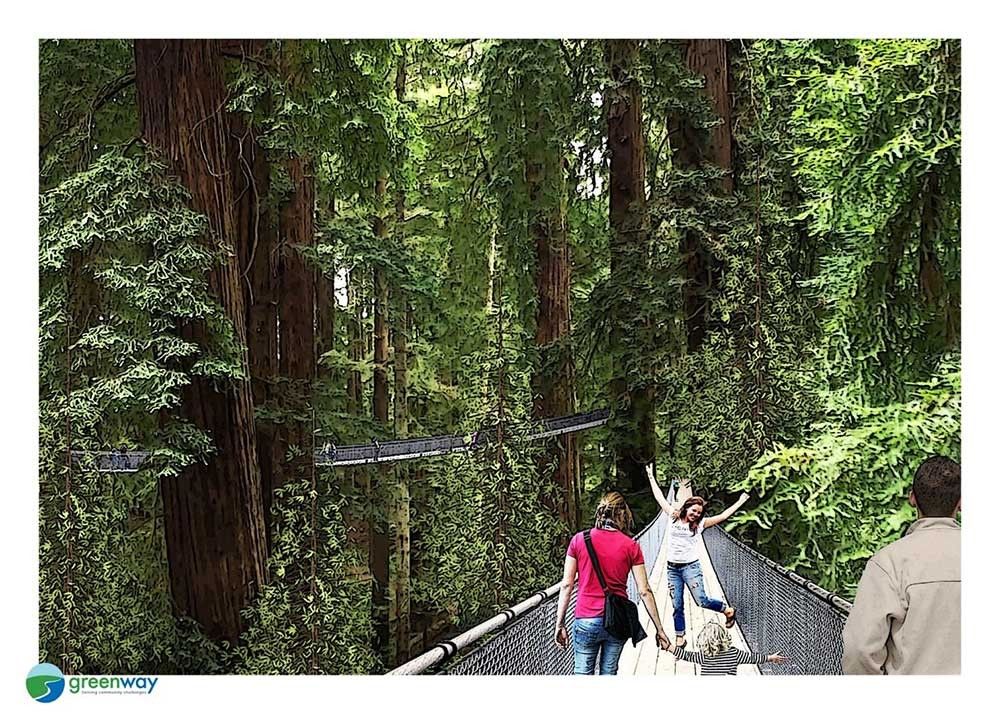 New Redwood Canopy Skywalk for Sequoia Park Zoo