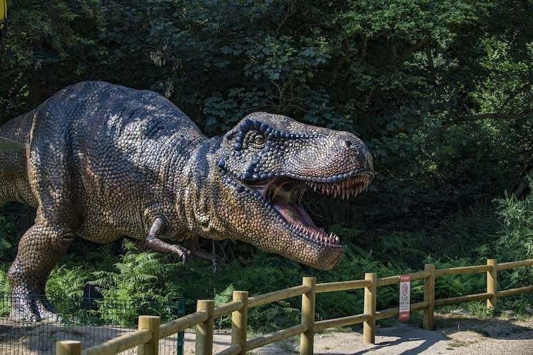 Roarr! launches public consultation to reveal expansion plans | blooloop