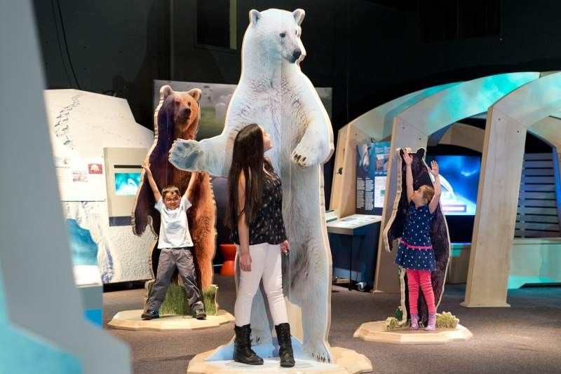 Arctic Voices exhibition by Science North comes to Asia-Pacific