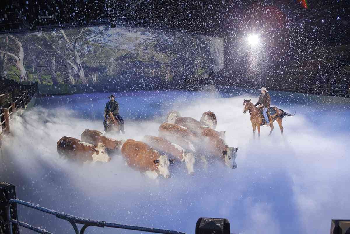 Australian Outback Spectacular Logo