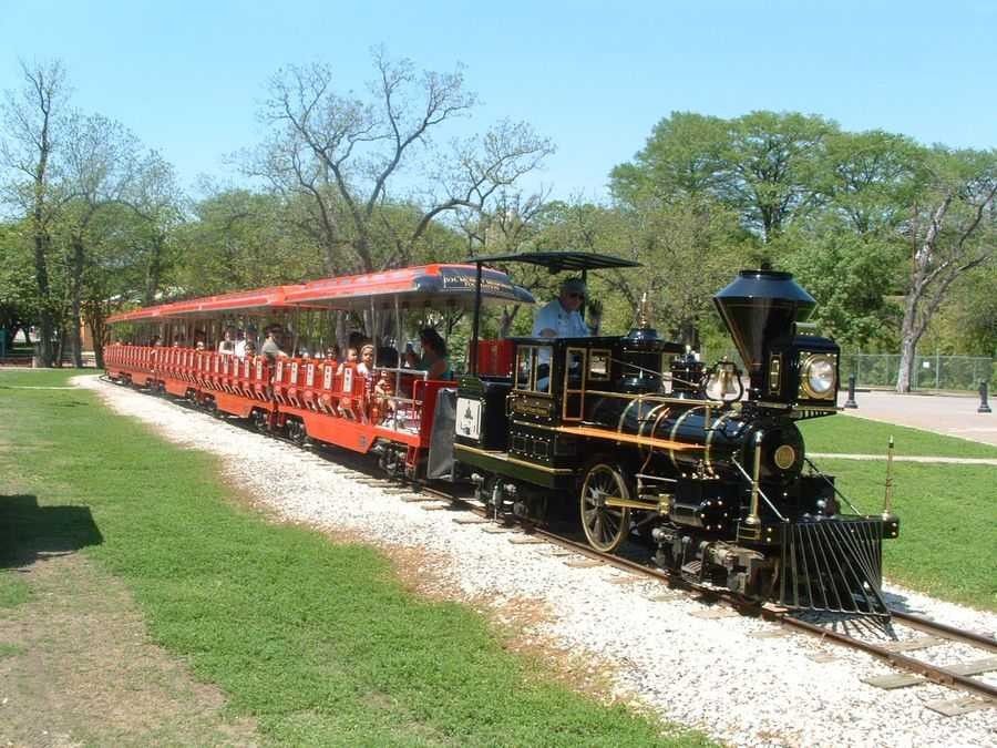San Antonio Zoo | Tim Morrow on experiences and conservation | blooloop