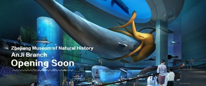 Zhejiang Museum of Natural History new branch complete | blooloop