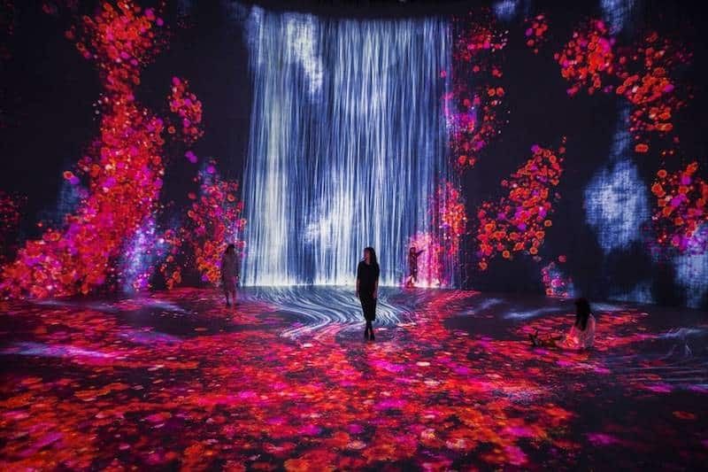 Tank Shanghai museum opens with teamLab digital art | blooloop