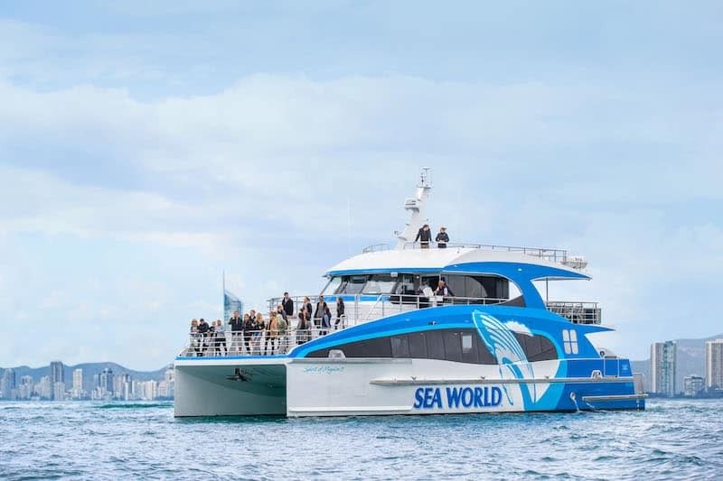 Sea World debuting new advanced whale watching vessel | blooloop