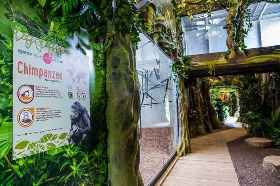 Twycross Zoo | Sharon Redrobe | One World Future | blooloop