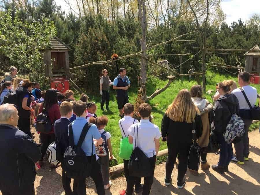 Twycross Zoo | Sharon Redrobe | One World Future | blooloop