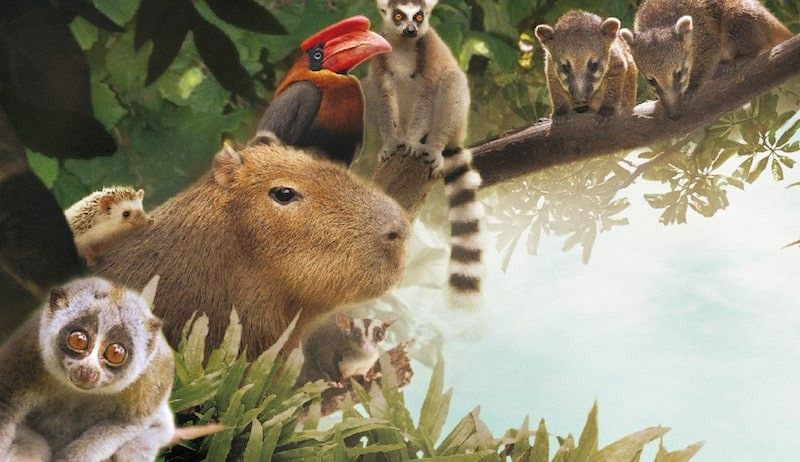 Indoor animal theme park opens at shopping mall in Shanghai | blooloop