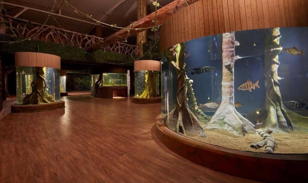 VGP Marine Kingdom | VGP Ravidas on India's latest aquarium | blooloop