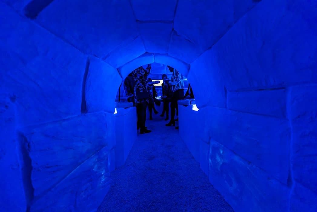 EXPERIENCES Blooloop