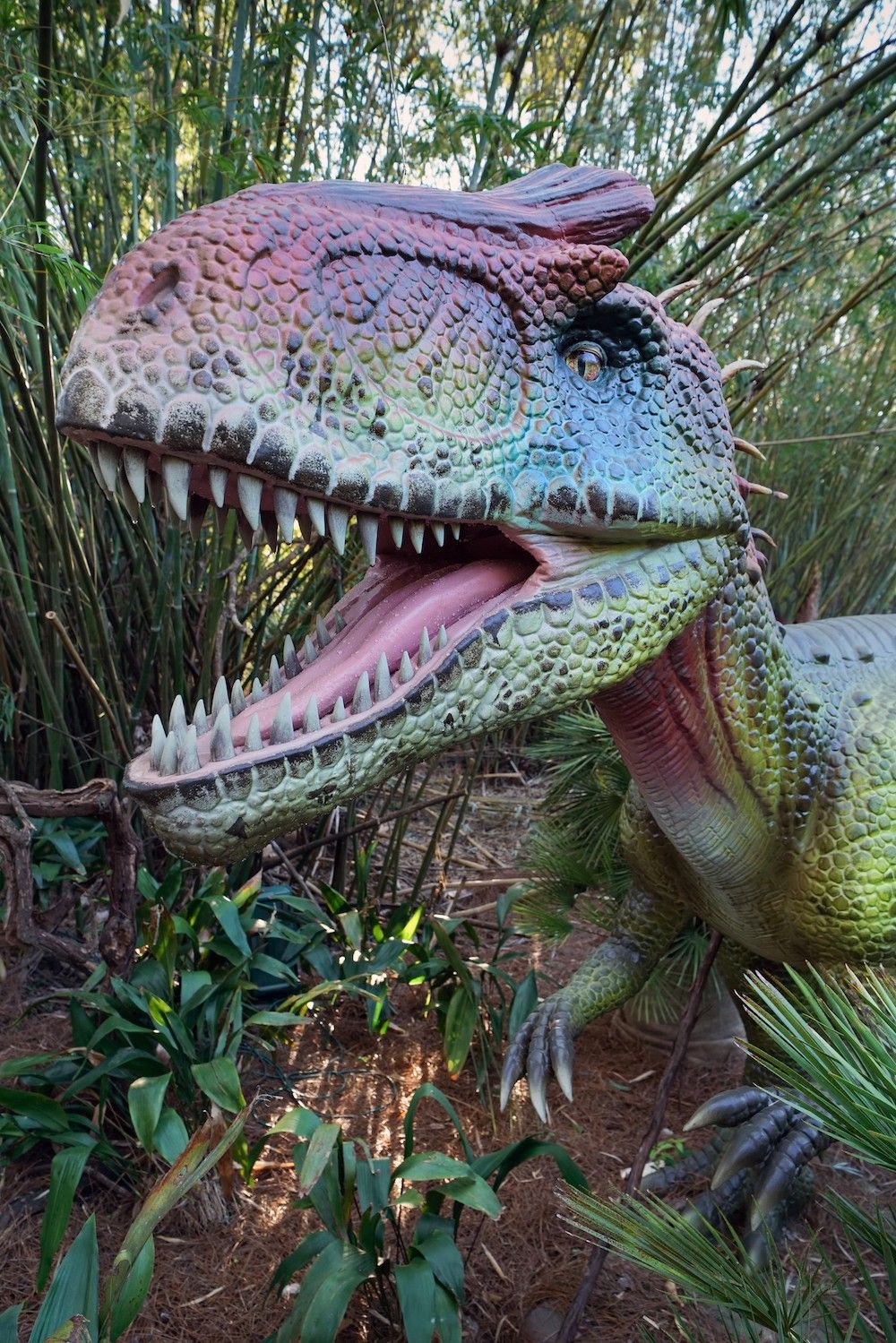 Travelling exhibitions | bodies and dinosaurs | Tom Zaller | blooloop