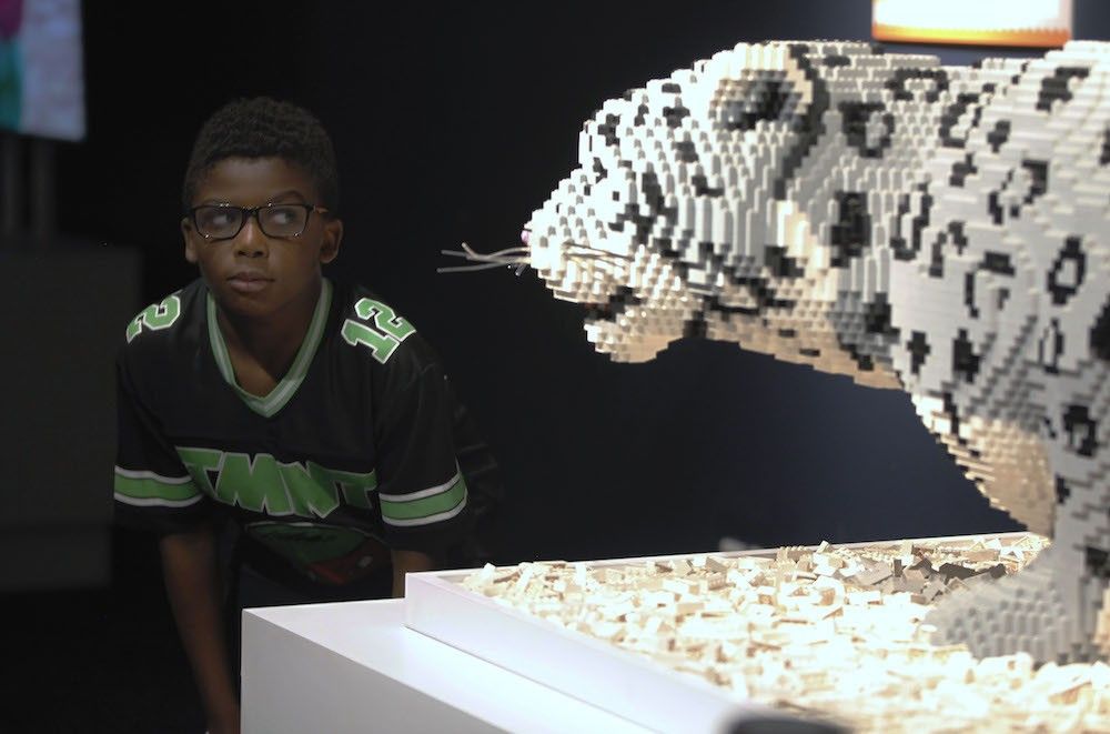 Travelling exhibitions | bodies and dinosaurs | Tom Zaller | blooloop