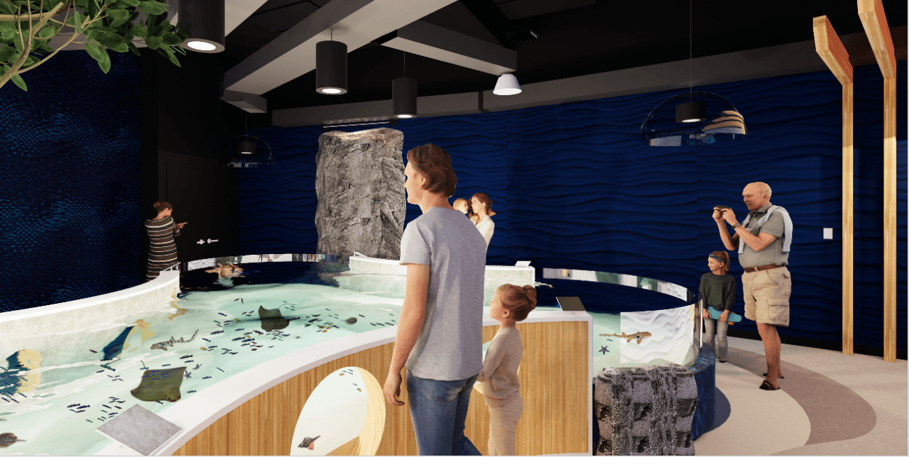 Aquarium of Niagara expanding with shark and ray exhibit | blooloop