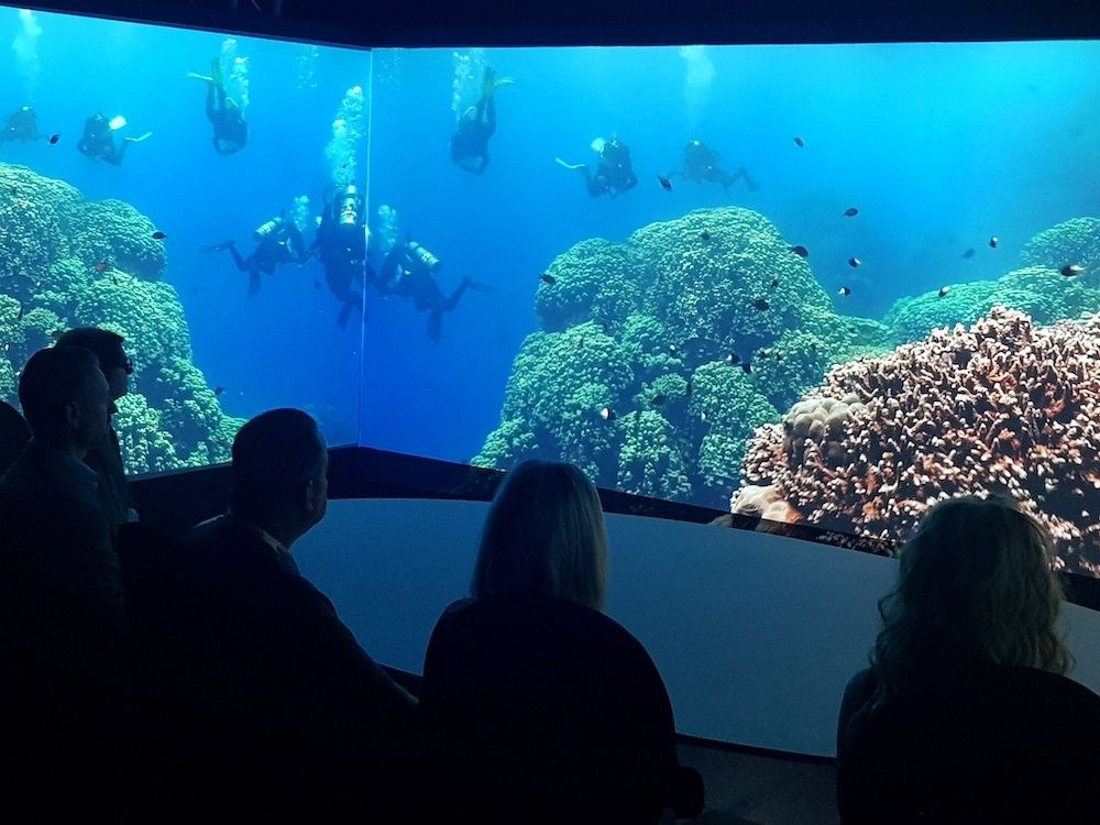 Holovis and Discovery Destinations enter into new partnership | blooloop