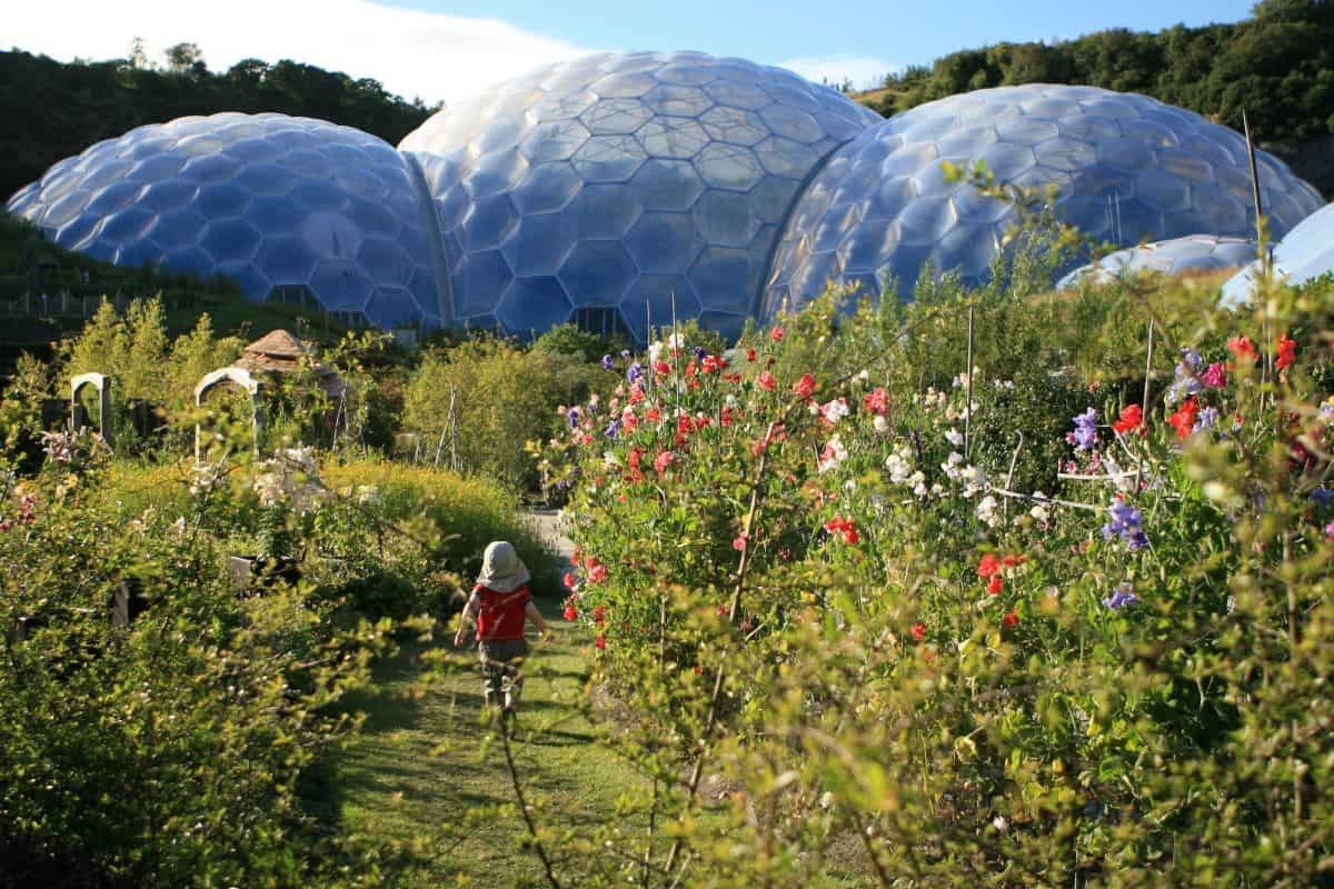 Eden Project plans to build sustainable hotel in Cornwall | blooloop
