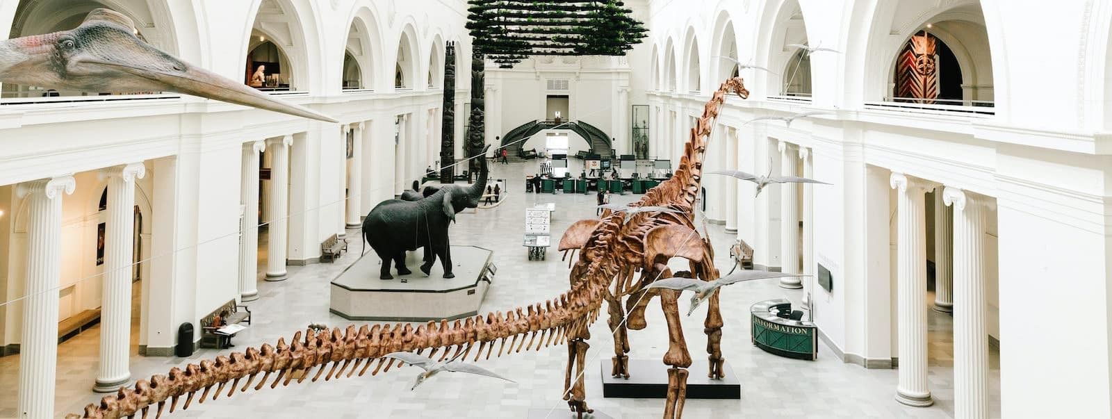 Sustainable museums | 17 worldwide examples | blooloop