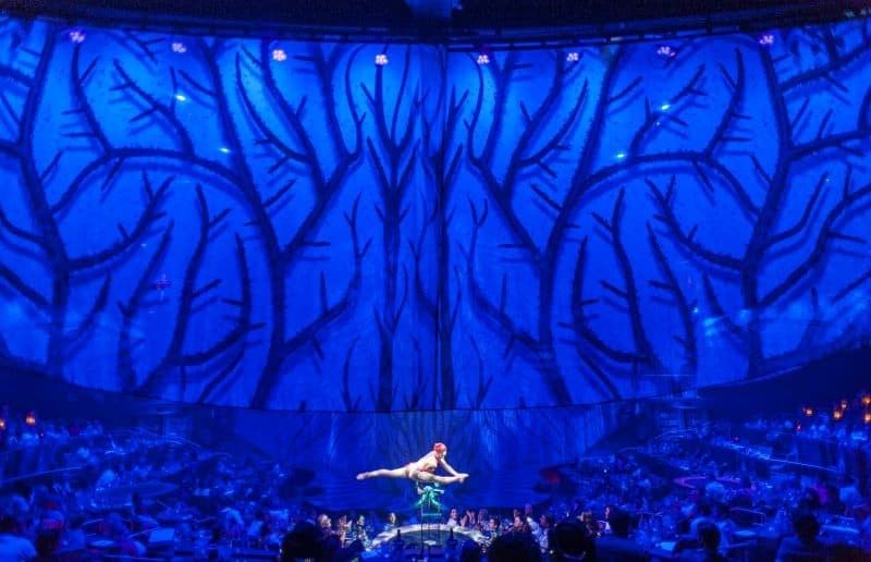 Travelling attractions | from the circus to IP exhibitions | blooloop