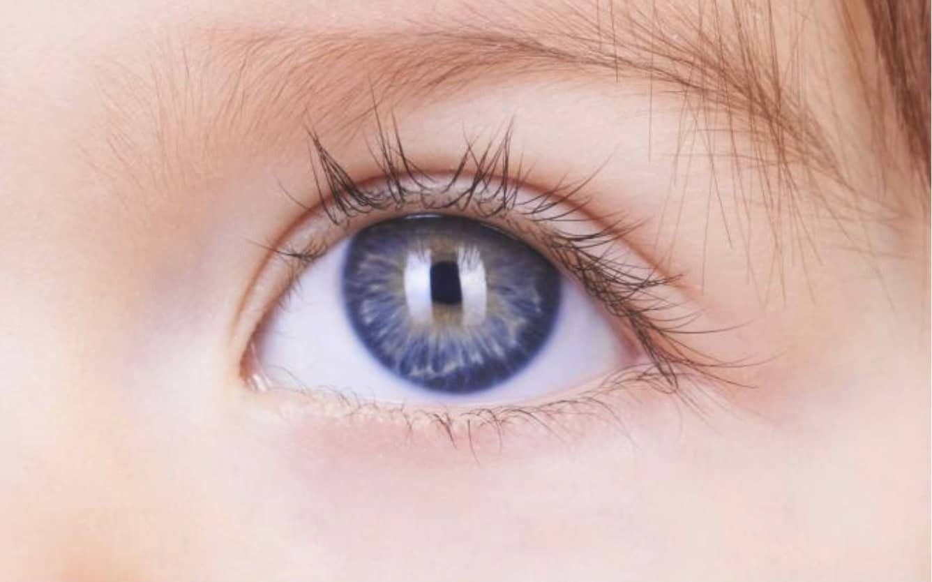 Indoor playground lighting and children's eye development | blooloop