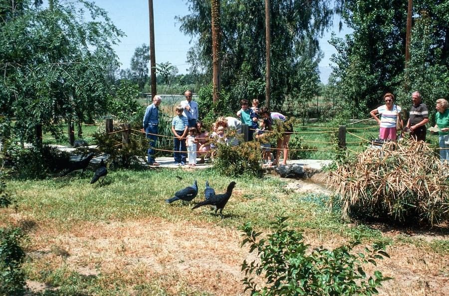 Wildlife World Zoo | encouraging an appreciation of nature | blooloop