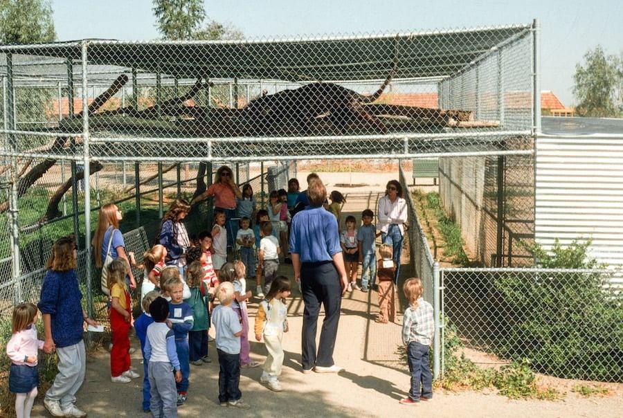 Wildlife World Zoo | encouraging an appreciation of nature | blooloop