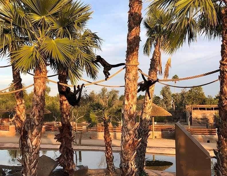 Wildlife World Zoo | encouraging an appreciation of nature | blooloop