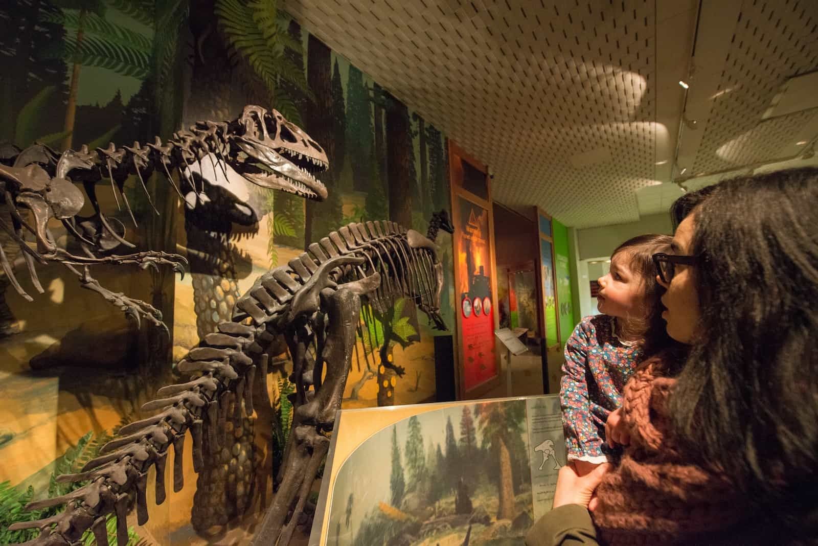 World Museum | exploring history and new technology | blooloop