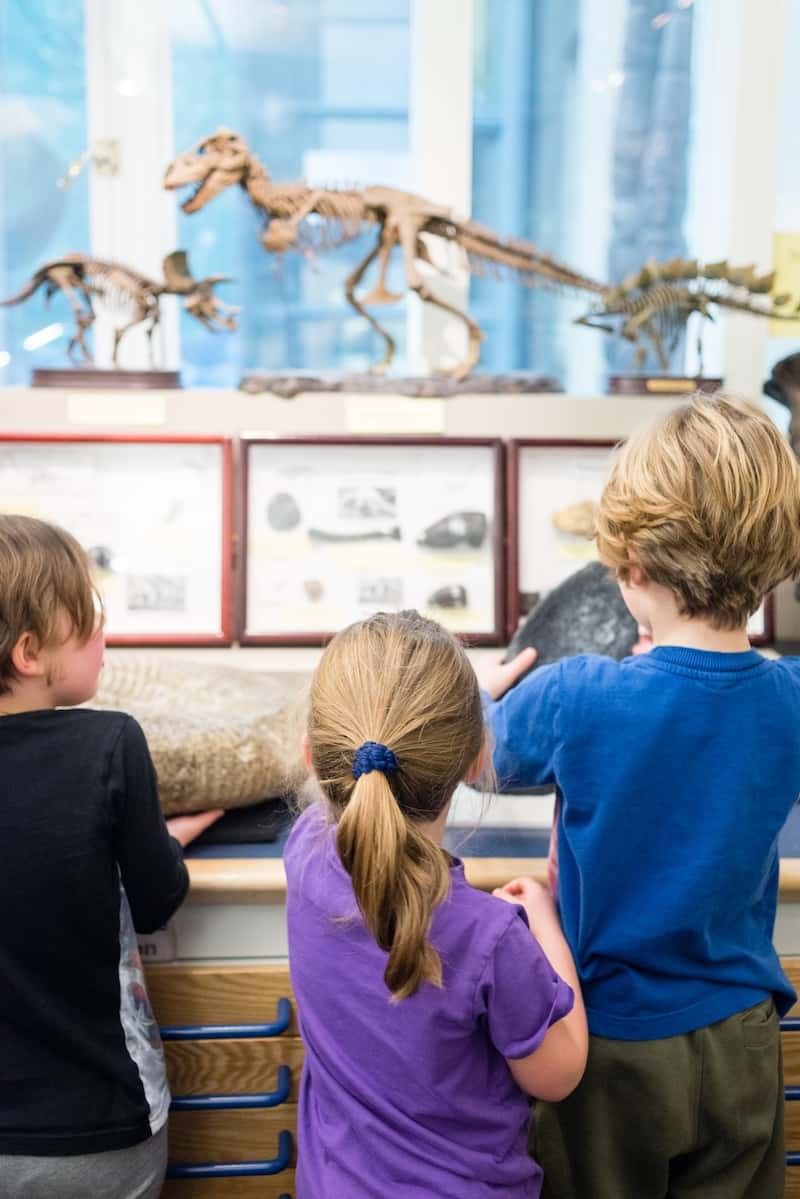 World Museum | exploring history and new technology | blooloop