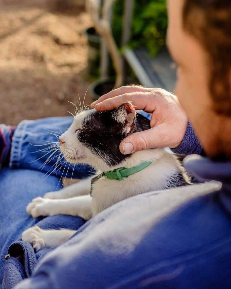 Philbrook Museum of Art | Scott Stulen on community connection | blooloop