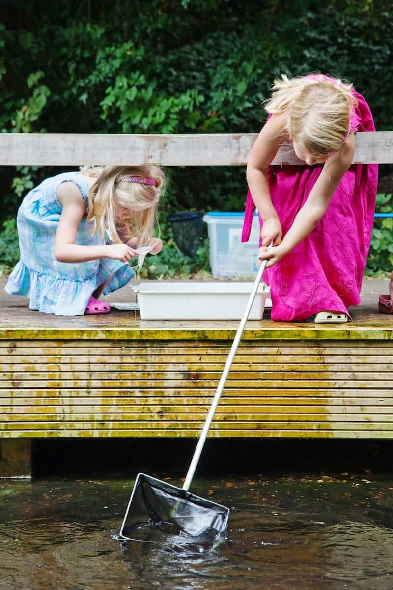 Horniman Museum | Nick Merriman on diversity & COVID-19 | blooloop