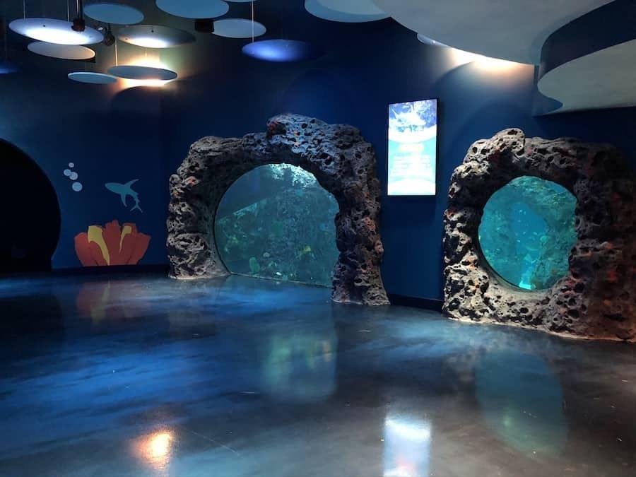 Mississippi Aquarium | revitalising the Gulf Coast after Katrina | blooloop