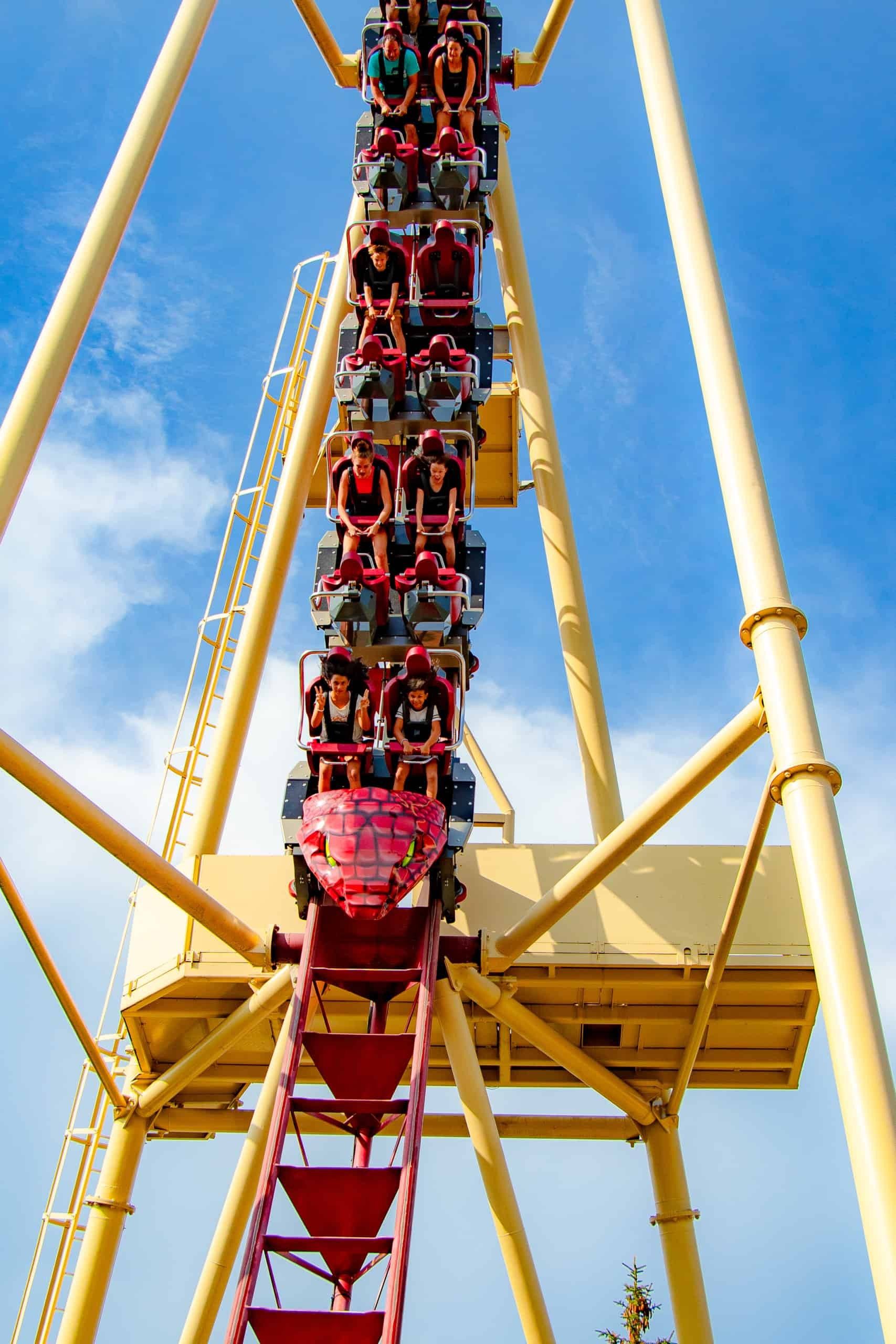 THE NEW COBRA Blooloop