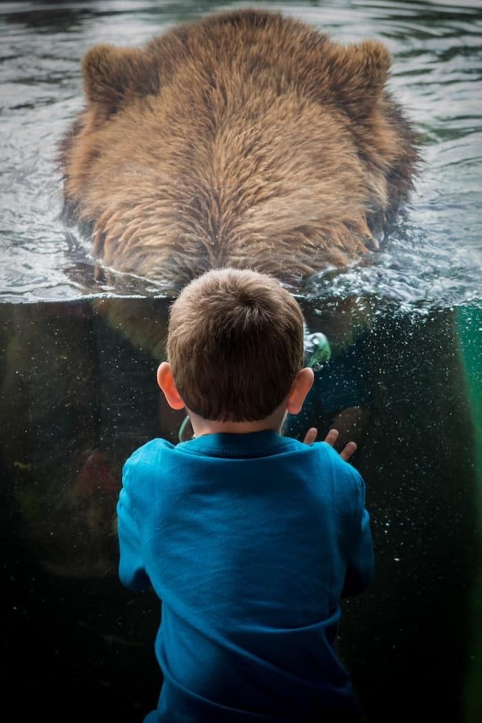 International Zoo Educators Association | Introducing IZE | blooloop